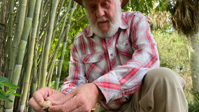 Barry Muir – Cairns Fungi Foragers – Queensland Mycological Society